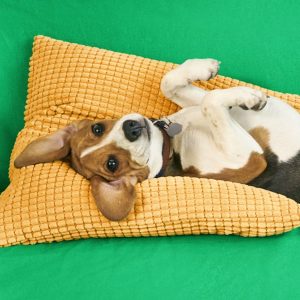 Hive Smart Hubs - Smart & Secure Centre